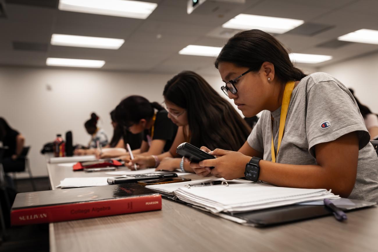 Summer program | Simon A. Levin Mathematical, Computational and ...